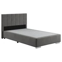 Boxspringbett COTTA "Simba", grau, L:209cm, Komplettbetten, Boxspringbett, wahlweise mit oder ohne Matratze und Topper bestellbar, Topseller