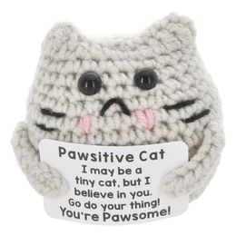 SONSTIGE H&auml;kelkatze POSITIVE CAT