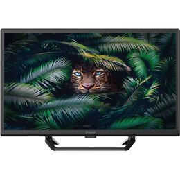 Strong LED-Fernseher "SRT 24HE4023C", Energieeffizienz: E, schwarz, 24 &Prime;, Fernseher, Video-Streaming: Netflix, Youtube, Amazon Prime Video, Disney+, LED-Fernseher