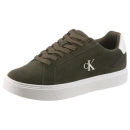 Sneaker Calvin Klein Jeans "CLASSIC CUPSOLE LACEUP SU", Herren, Gr. 41, gr&uuml;n, Veloursleder, unifarben mit Farbeinsatz, Schuhe Sneaker, Schn&uuml;rschuh, Halbschuh, Freizeitsneaker mit seitlichem CK-Logo