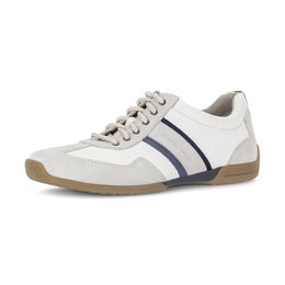 Sneaker Pius Gabor, Herren, Gr. 7,5 (41), sanftes wei&szlig;, dunkelblau, Lederimitat, Veloursleder, Schuhe Sneaker, Freizeitschuh, Halbschuh, Schn&uuml;rschuh mit Logo, Weite G (=weit)