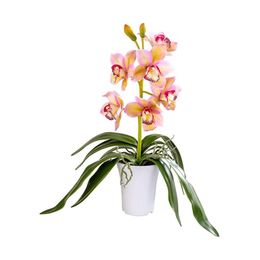 HEINE HOME Kunstblume in Rosa/ Wei&szlig; - (B)60 x (H)56 x (T)24 cm - 56% | Kerzen-vasen