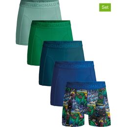 MUCHACHOMALO 5er-Set: Boxershorts in Blau/ Gr&uuml;n - 58% | Gr&ouml;&szlig;e M | Herren-waesche