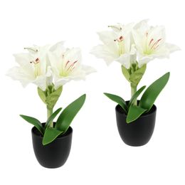 Kunstblume I.GE.A. "Amaryllis im Topf", wei&szlig;, B:17cm H:28cm L:14cm, Polyester, Kunstpflanzen, 2erSet Blume Weihnachtsblume Weihnachtsdeko Winterblume Floristik Deko