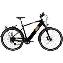 Z&uuml;ndapp Z&uuml;ndapp Unisex &raquo;Z810&laquo; 8 Gang Shimano Altus RD-M310 Schaltwerk Kettenschaltung Heckmotor 250 W Pedelec, Elektrofahrrad f&uuml;r Damen und Herren schwarz