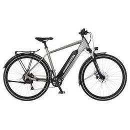 E-Bike Fischer FAHRRAD "TERRA 2.2 459 55" Gr. 55, grau, Elektrofahrr&auml;der, 55cm, 29 Zoll (73,66cm), Pedelec, Elektrofahrrad f&uuml;r Damen und Herren