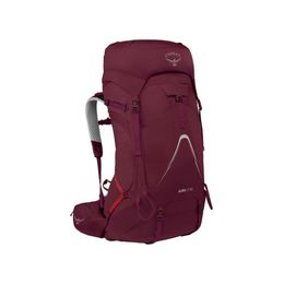Osprey Aura AG LT 50 WM/L - Trekkingrucksack 80 cm (antidote purple) in antidote purple | Gr.: onesize