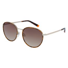 Esprit 40100 | Damen-Sonnenbrille | Fassung: Vollrand, Panto, Nickelsilber, Havanna | Glasfarbe: Braun