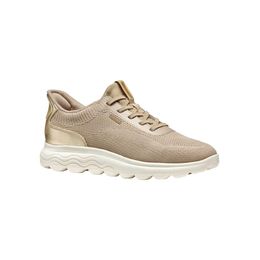 Geox Spherica Plus A in Beige | Gr.: 41