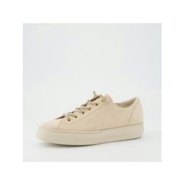Paul Green Sneaker in beige | Gr.: 40