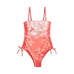 B By Ted Baker Swimsuit female Pink size 18