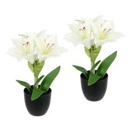 Kunstblume I.GE.A. "Amaryllis im Topf", wei&szlig;, B:17cm H:28cm L:14cm, Polyester, Kunstpflanzen, 2erSet Blume Weihnachtsblume Weihnachtsdeko Winterblume Floristik Deko