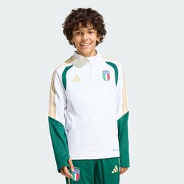 adidas Performance Funktionsshirt 'Italien 26 Tiro' Jungen Gr&ouml;&szlig;e 176 gelb / gr&uuml;n / rot / wei&szlig;