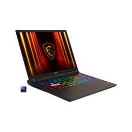 MSI Vector 17 HX AI A2XWHG-041, Gaming-Notebook grau, Intel Core Ultra 9 275HX, NVIDIA GeForce RTX 5070 Ti, 32 GB DDR5, 2 TB (2 TB SSD), Windows 11 Home