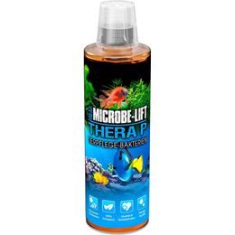ARKA Thera P Tierpflege-Bakterien 473 ml