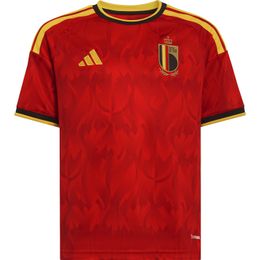 Adidas WM 2026 Belgien Heim Teamtrikot Kinder - Gr&ouml;&szlig;e 176 - rot