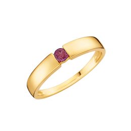 WITT Damen Ring, Gelbgold 375, Gr&ouml;&szlig;e 16