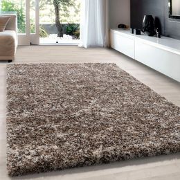 Hochflor-Teppich, B:280cm H:50mm L:370cm, beige, Ayyildiz Teppiche, Kunstfaser, Teppiche, "Enjoy Shaggy", auch als L&auml;ufer, Shaggy, Langflor, meliert,