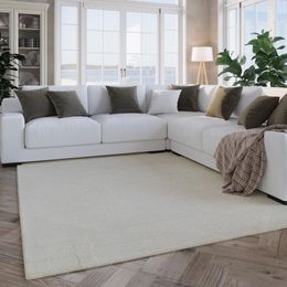 Wollteppich Wecon Home, B:80cm H:15mm L:230cm, beige, Schurwolle, Wohnzimmer, Teppiche, "Hamptons FIVETEEN", L&auml;ufer, Schurwolle, Kurzflor, Wohn- &