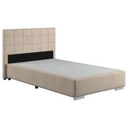 Boxspringbett COTTA "Simba", grau (platinum), L:209cm, Komplettbetten, Boxspringbett, wahlweise mit oder ohne Matratze und Topper bestellbar, Topseller