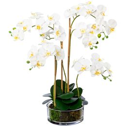 Kunstorchidee Creativ green, H:50cm, wei&szlig;, Obermaterial: 100% Polyethylen, Kunstpflanzen, "Phalaenopsis im Glas"