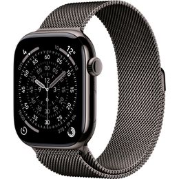Apple Smartwatch "Watch Series 11", 46,mit eSIM, M/L, Milanese Loopslate milanese, slate, Smartwatches