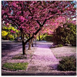 Wandbild Artland, B:70cm H:70cm, pink, Wohnzimmer, Bilder, "Fallende Bl&uuml;tenbl&auml;tter", als Leinwandbild, Poster in verschied. Gr&ouml;&szlig;en