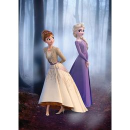 Komar Bild "Frozen Wood Walk", B/H/T: 50cm x 70cm, Disney, 1 Stk., bunt, Wohnzimmer, Bilder, Wandbild zur Dekoration im Kinderzimmer - ohne Rahmen
