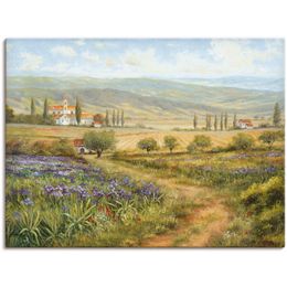 Leinwandbild Artland, B:40cm H:30cm, gr&uuml;n, Wohnzimmer, Bilder, "Provence", auf Holzrahmen gespannt