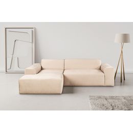 Ecksofa WERK2, B:253cm H:70cm T:188cm, beige, 100% PES, Wohnzimmer, Sofas, "Zeus-L modern & zeitlos, Breite 253 cm, bequemes Sofa", Curvy Trend