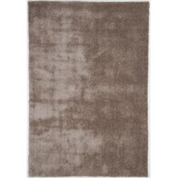 Hochflor-Teppich Gino Falcone, B:65cm H:25mm L:135cm, beige, Kunstfaser, Teppiche, "Alessandro", besonders weich durch Microfaser, ideal im