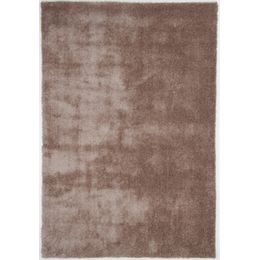 Hochflor-Teppich Gino Falcone, B:160cm H:25mm L:230cm, beige, Kunstfaser, Teppiche, "Alessandro", besonders weich durch Microfaser, ideal im