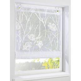 Raffrollo HEINE HOME, B:80cm H:130cm, wei&szlig;, Raffrollos