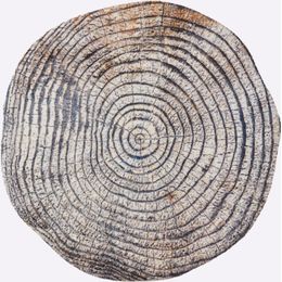 Fu&szlig;matte, B:60cm H:7mm L:180cm, braun, Kunstfaser, Polyamid, Flur, Teppiche