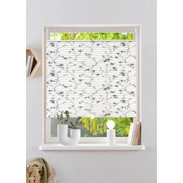 Plissee OTTO HOME, B:70cm H:210cm, grau, Obermaterial: 100% Polyester, Badezimmer, Plissees, "MINNA", Fixma&szlig; mit Floralem Print, f&uuml;r Fenster & T&uuml;r -
