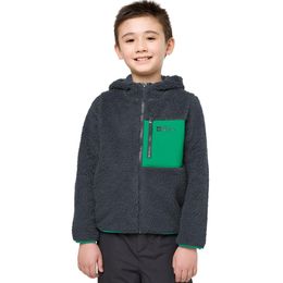 Jack Wolfskin Jungen Fleecejacke "ICE CURL HOOD JACKET K", grau, Gr. 176, Fleece, Obermaterial: 100% Polyester, Jacken, mit Kapuze, aus