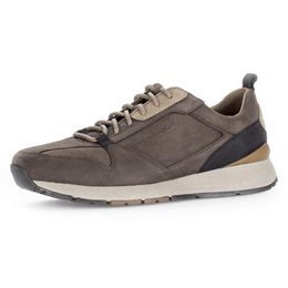 Pius Gabor Herren Sneaker, Gr. 8,5dunkelbraun, schwarz, Nubukleder, Schuhe, Freizeitschuh, Halbschuh, Schn&uuml;rschuh mit Anziehlasche, G-Weite