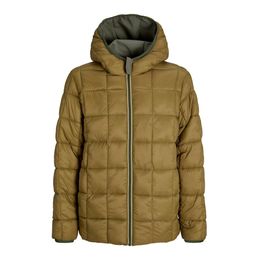 Jack & Jones Jack & Jones Winter Jacket 'JJEBrook' male Green size M