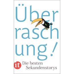 &Uuml;berraschung!