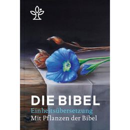 Die Bibel