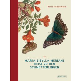 Maria Sibylla Merians Reise zu den Schmetterlingen