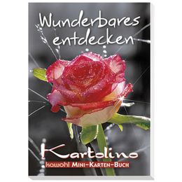 Wunderbares entdecken