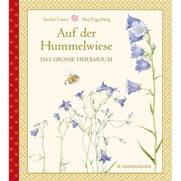 Auf der Hummelwiese