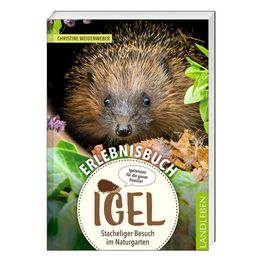 Erlebnisbuch Igel