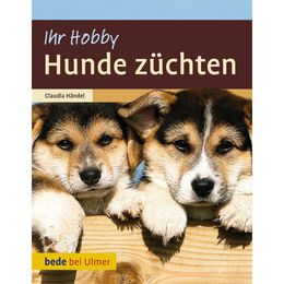 Hunde z&uuml;chten