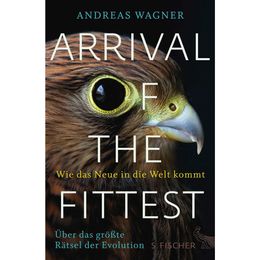Arrival of the Fittest