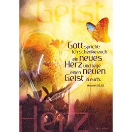 Ich schenke euch ein neues Herz