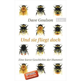 Und sie fliegt doch