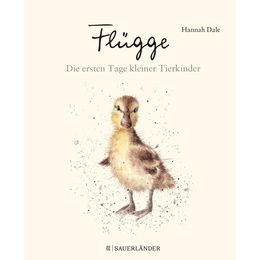 Fl&uuml;gge