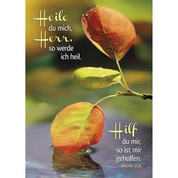 Heile du mich, Herr